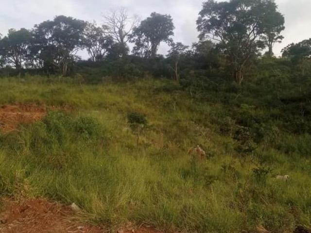 Terreno