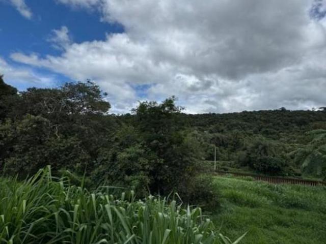 Terreno