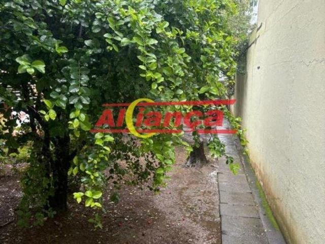 TERRENO 150 METROS, MURADO