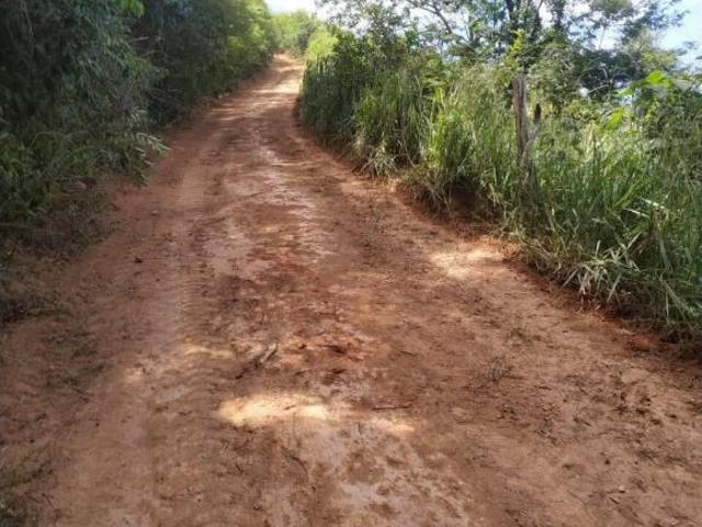 Terreno