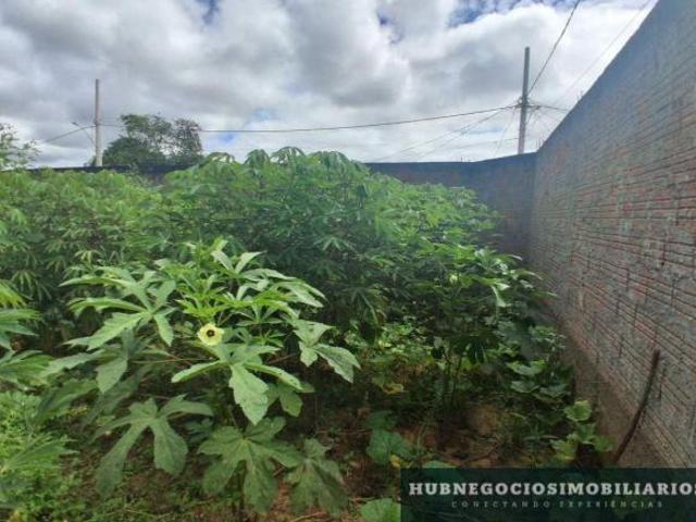 Terreno