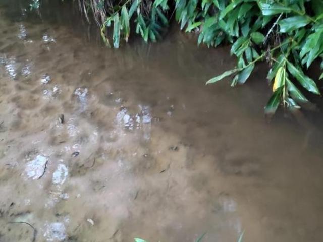 TERRENO 15 HECTARES EM PIEDADE DOS GERAIS/MG