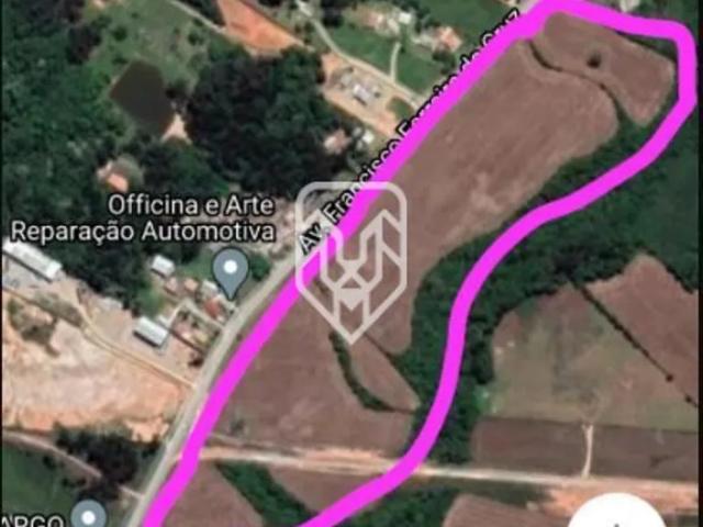 Terreno, Eucaliptos, Fazenda Rio Grande