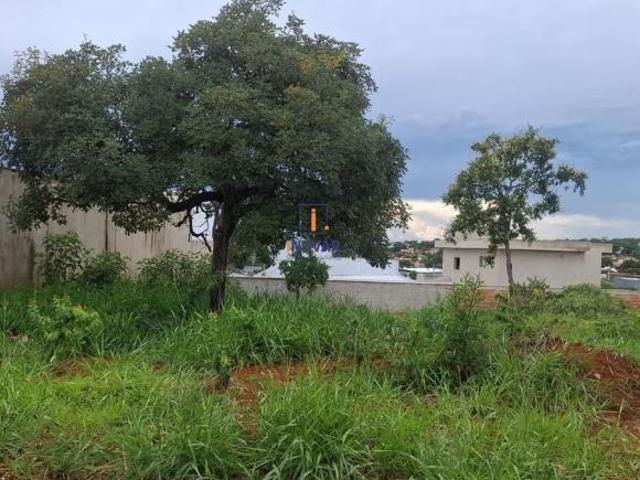 Terreno