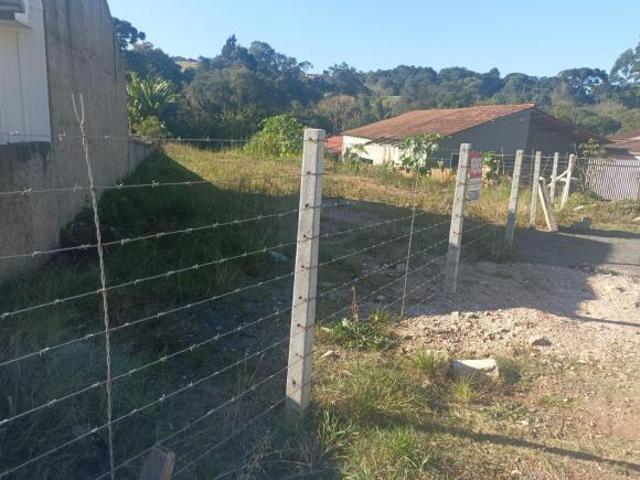 TERRENO 17 m DE FRENTTE PARA A RUA 800M2 JARDIM ESMERALDA CAMPO LARGO