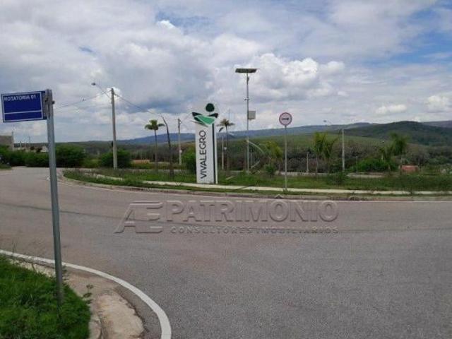 TERRENO 18045M² VIVALEGRO
