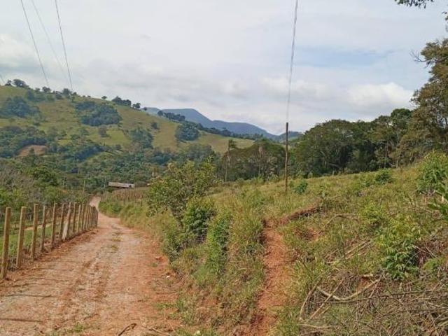 Terreno