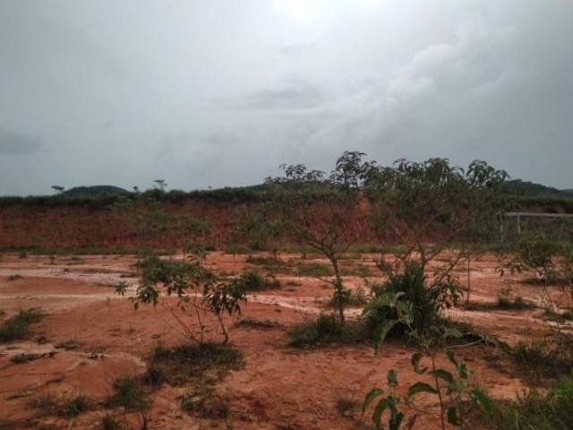 Terreno