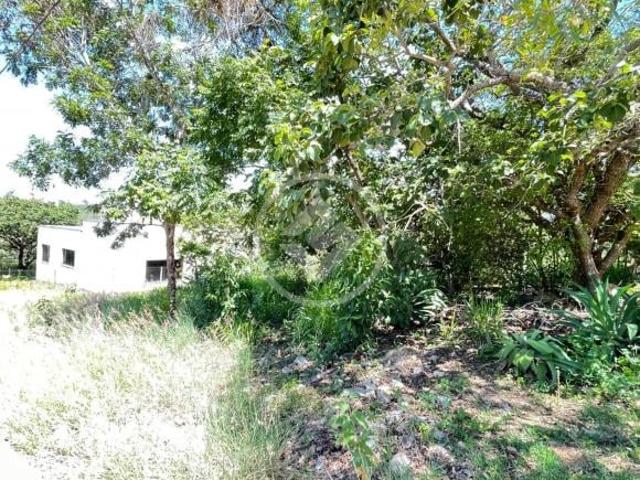 Terreno 1000 m² condominio Mirante do Tamboril