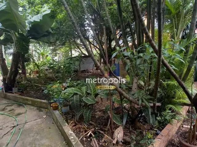 Terreno, 1000 m² venda por R$ 6.502.000,00 ou aluguel por R$ 22.312,46/mês Santo Antônio São C