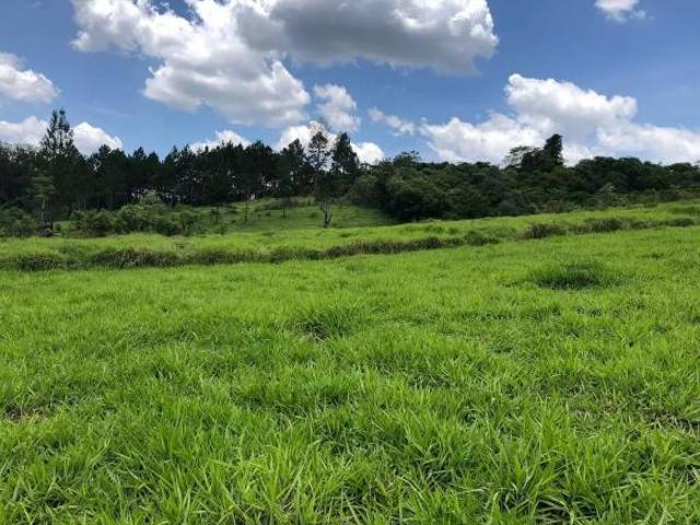 TERRENO 1000M² EM SÃO ROQUE | PRONTO PARA CONSTRUIR