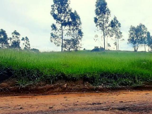 Terreno 1000m² para chácara em São Roque – Valor Promocional R$134.998
