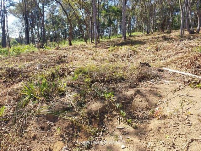 Terreno 1000m²,plano, poucas árvores, Mairiporã, 40 min/ Capital, Vista Represa