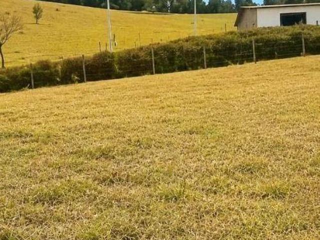 Terreno