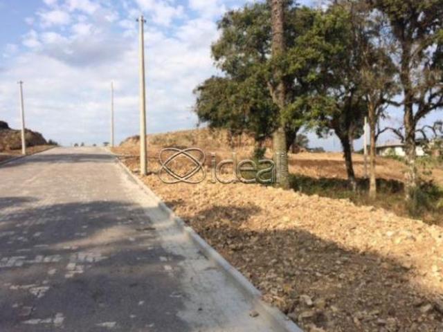 Terreno 10.000,68m² no Bairro São Ciro/Século XX em Caxias do Sul