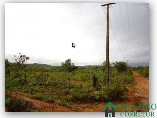 TERRENO 10.000 M² QUINTAS DOS PALMARES