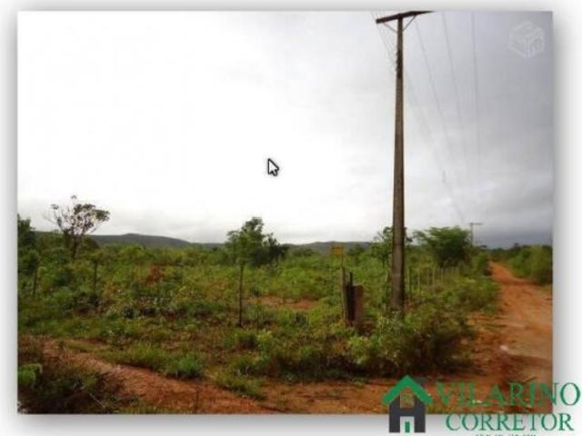 TERRENO 10.000 M² QUINTAS DOS PALMARES