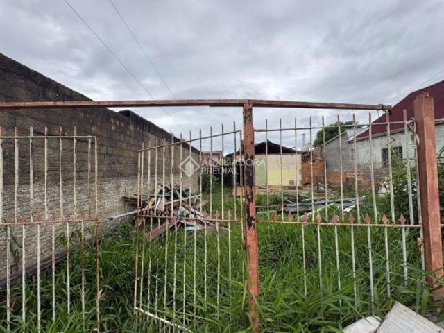 Terreno 10x50