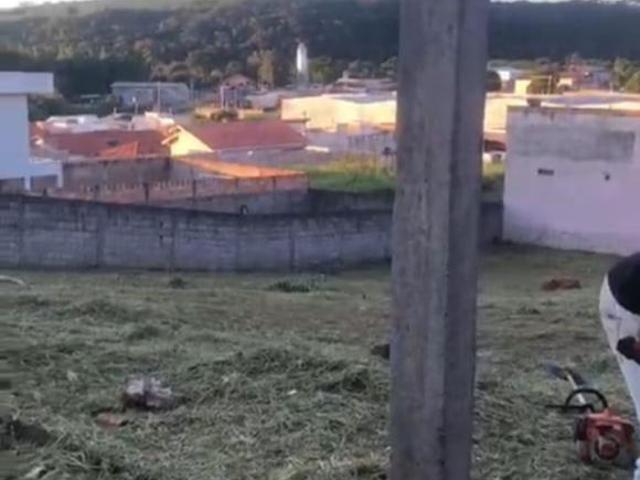 Terreno