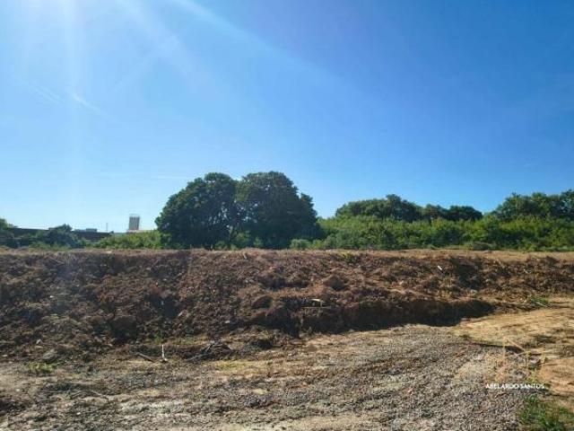Terreno, 1136 m² venda por R$ 980.000 ou aluguel por R$ 4.000/mês Parque Nossa Senhora da Candel