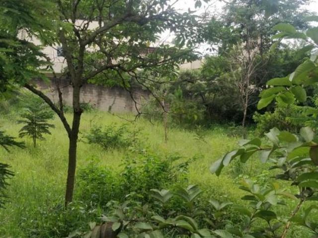 Terreno