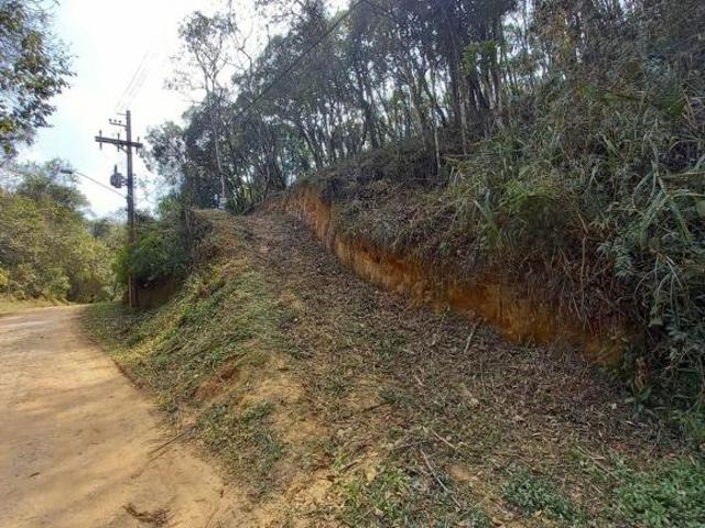 Terreno 1250 m² excelente localização da rua aclive médio, cima clive leve terraplanagem, árvores
