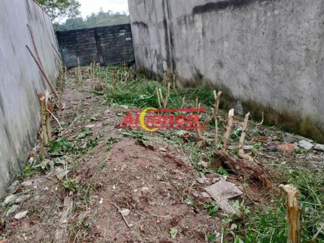 Terreno 125m² Jardim Fortaleza Guarulhos/SP