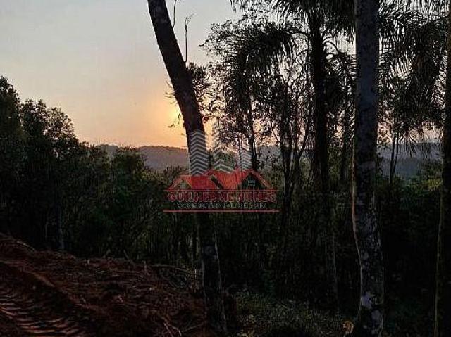 Terreno 12.000M com Córrego! Balsa Nova/Itambé