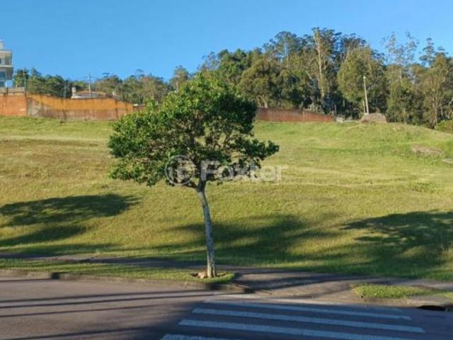 Terreno, 1302.93 m², em Vila Nova
