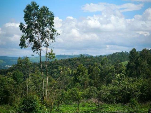 Terreno 1.000 m² São Roque SP — R$ 135/m² com Infraestrutura | Região em Valorização | Oportunidade