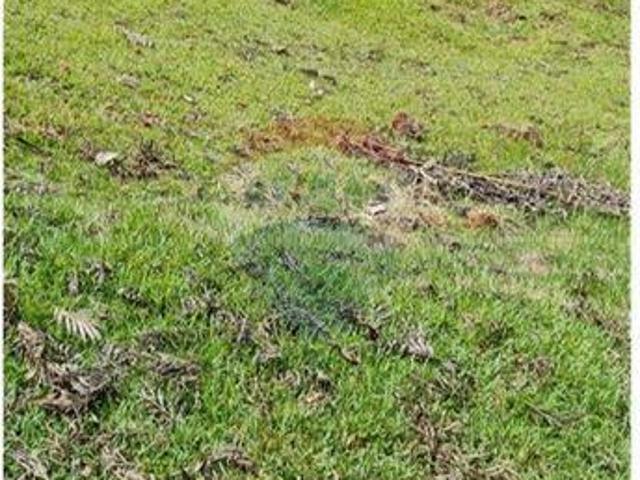 TERRENO 1.000M² EM CONDOMÍNIO COLINAS DE IBIUNA SP