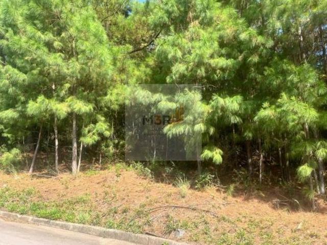 Terreno 1.137m² Nova Petrópolis | Linha Imperial | Amplo e Pronto para Construir