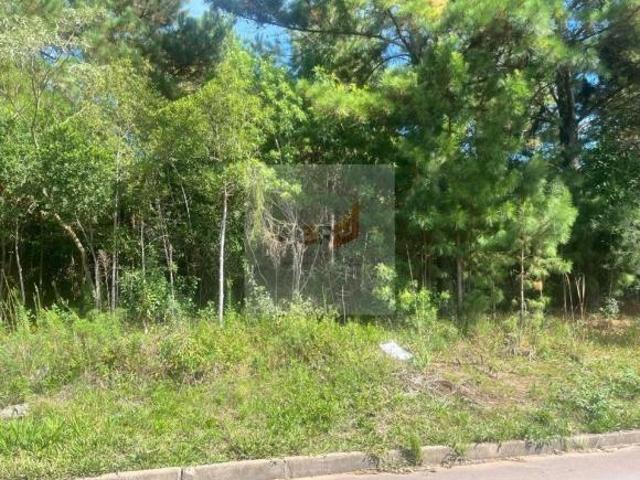 Terreno 1.234m² Nova Petrópolis | Linha Imperial | Amplo e Pronto para Construir