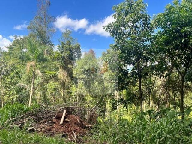 Terreno 1.270m² Nova Petrópolis | São Jacó com Vista Panorâmica | Parcelamento Direto 36x