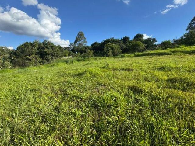 Terreno 1 Hectare com Gruta e Cachoeira Ponte Alta Sul