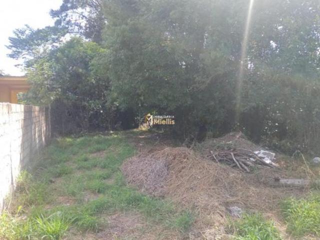 Terreno à venda em Tarumã