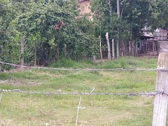 Terreno