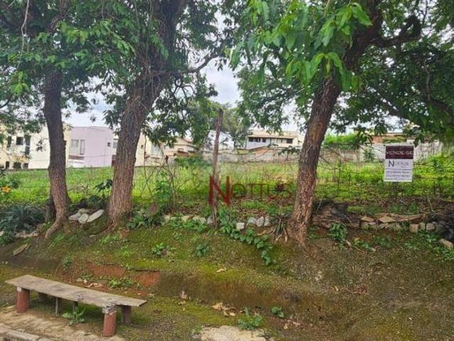Terreno para venda em Mateus Leme