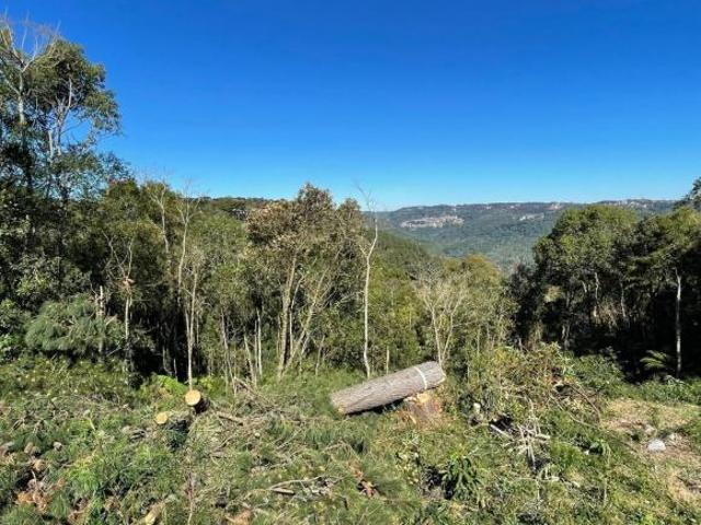 Terreno 250m2 em Canela
