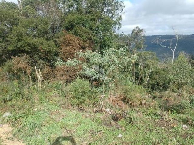 terreno 250m², localizado no morada do vale bairro Dante