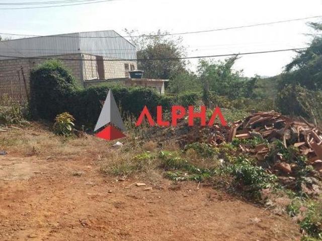Terreno