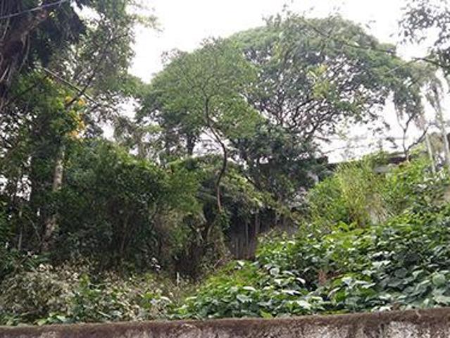 Terreno