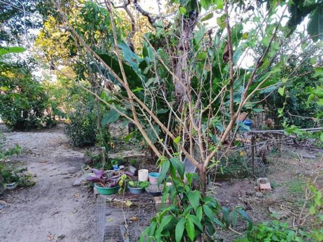 Terreno