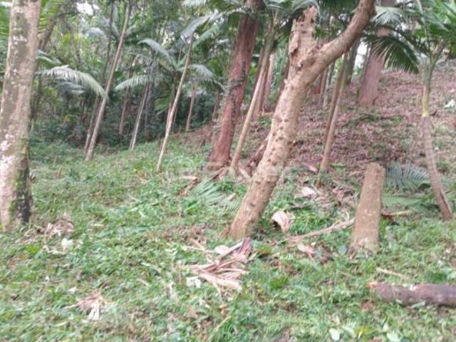 Terreno, 2675 m², em Fazenda Morumbi