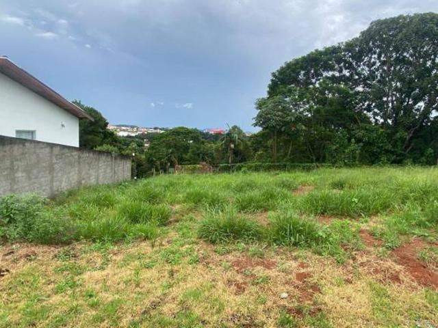 Terreno
