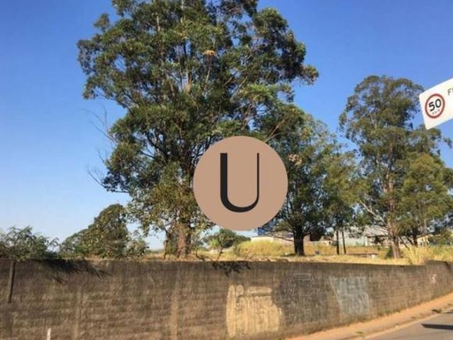 Terreno, 28000 m² venda por R$ 28.000.000,00 ou aluguel por R$ 223.078,00 Cooperativa São Bern