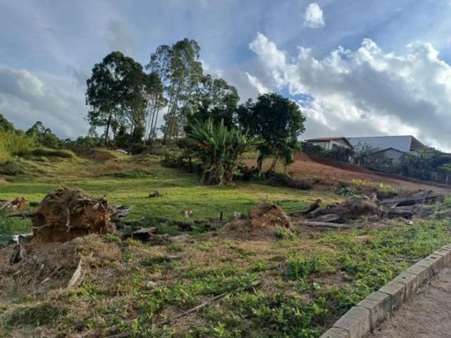Terreno