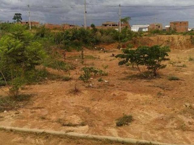 Terreno