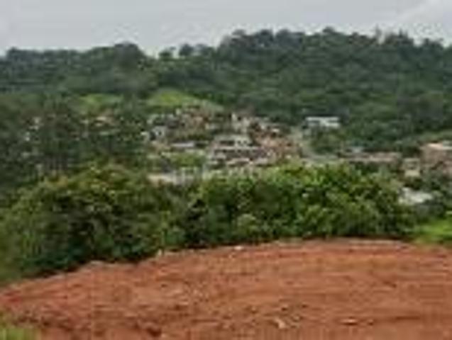 Terreno, 290 m², em Floresta