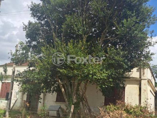 Terreno, 292.5 m², em São José